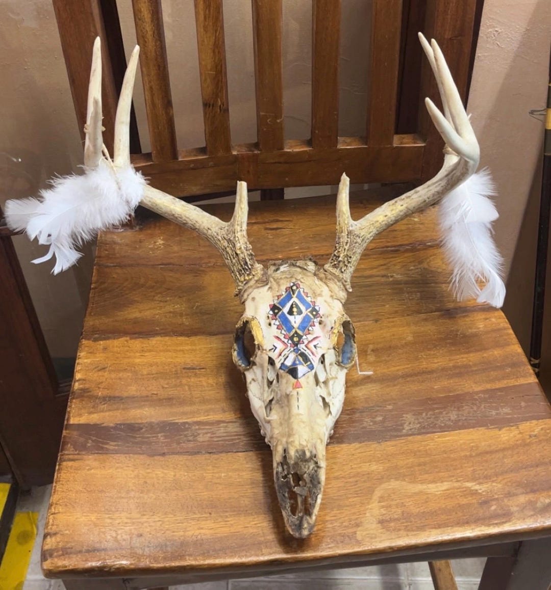 Aztec Themed Deer Skull Taxidermy - Etsy