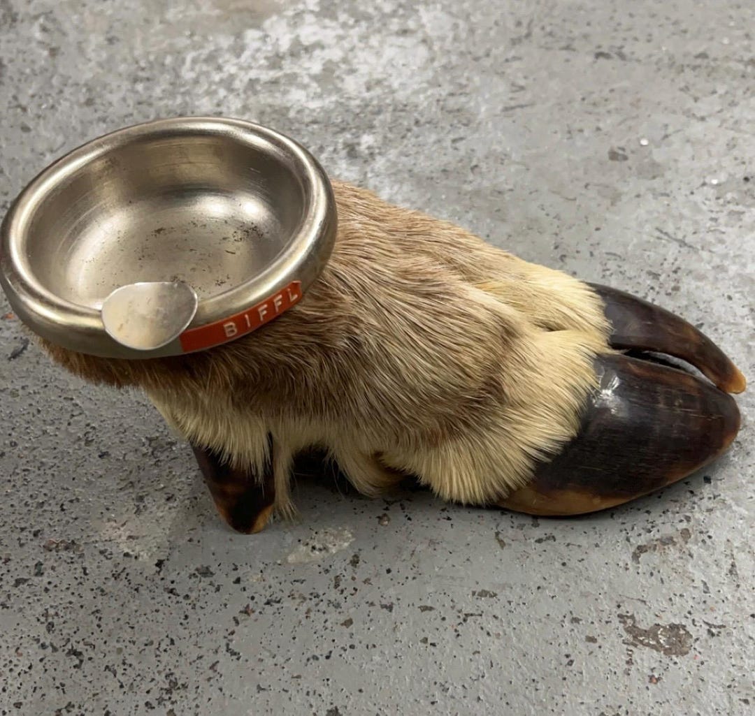Vintage Moose/elk Hoof Ashtray Taxidermy - Etsy