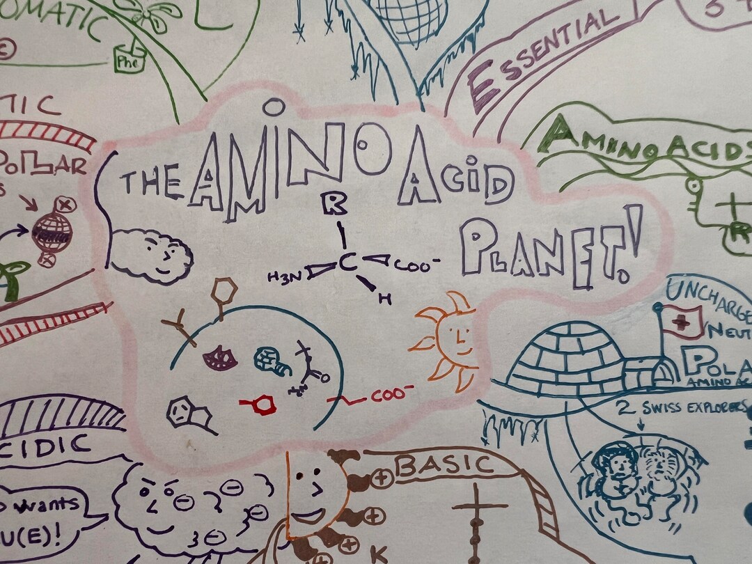 Amino Acid Mind Map for Medical and Nursing Students - Etsy