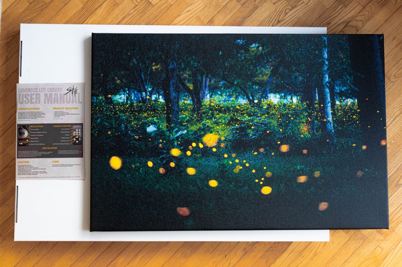 Fireflies Forest LED Canvas: Wireless Rechargeable Night Light - Etsy