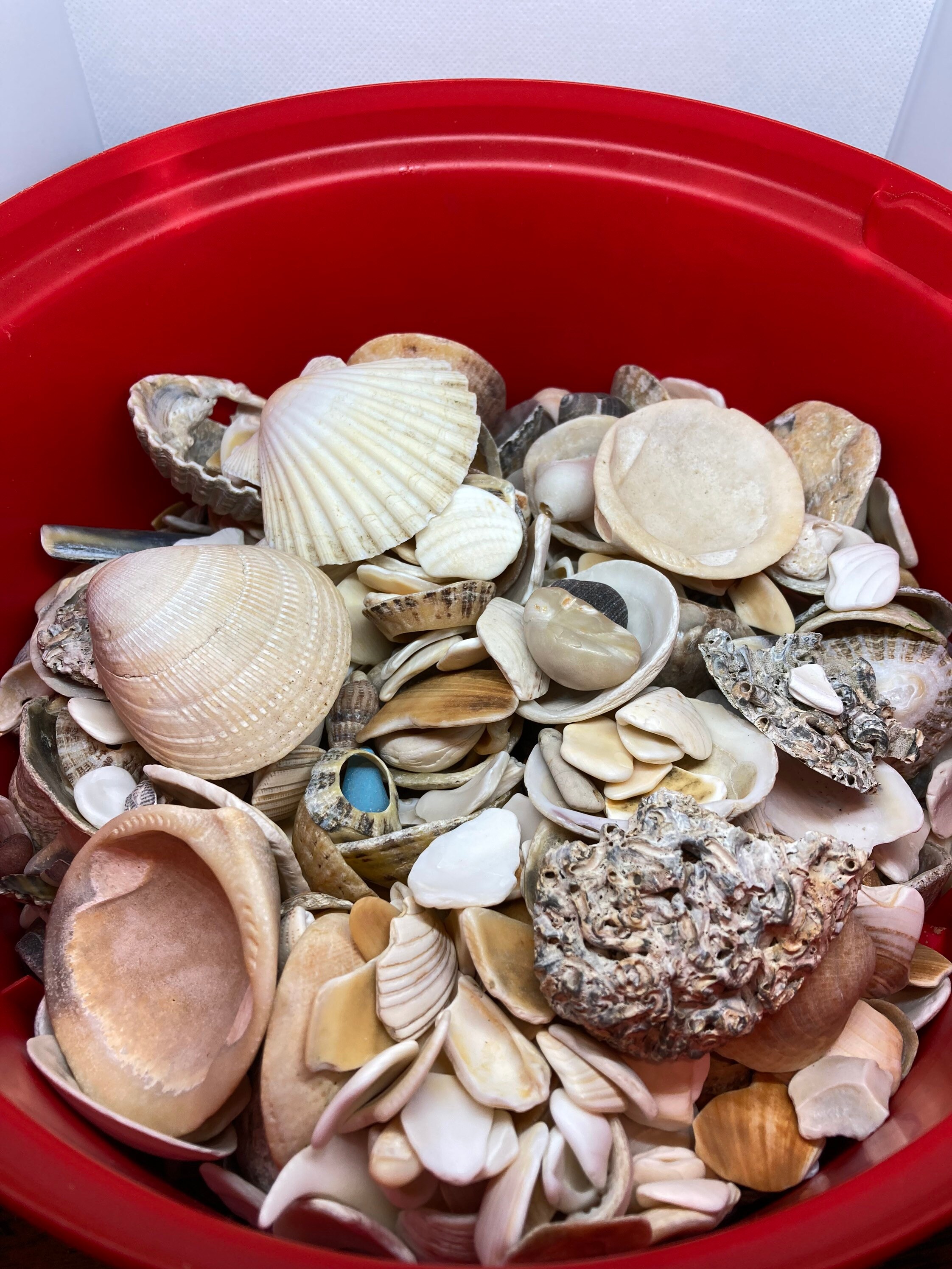 Sea Glass, Mermaids Treasures, Sea Glass Mystery Box, Sea Pottery ...