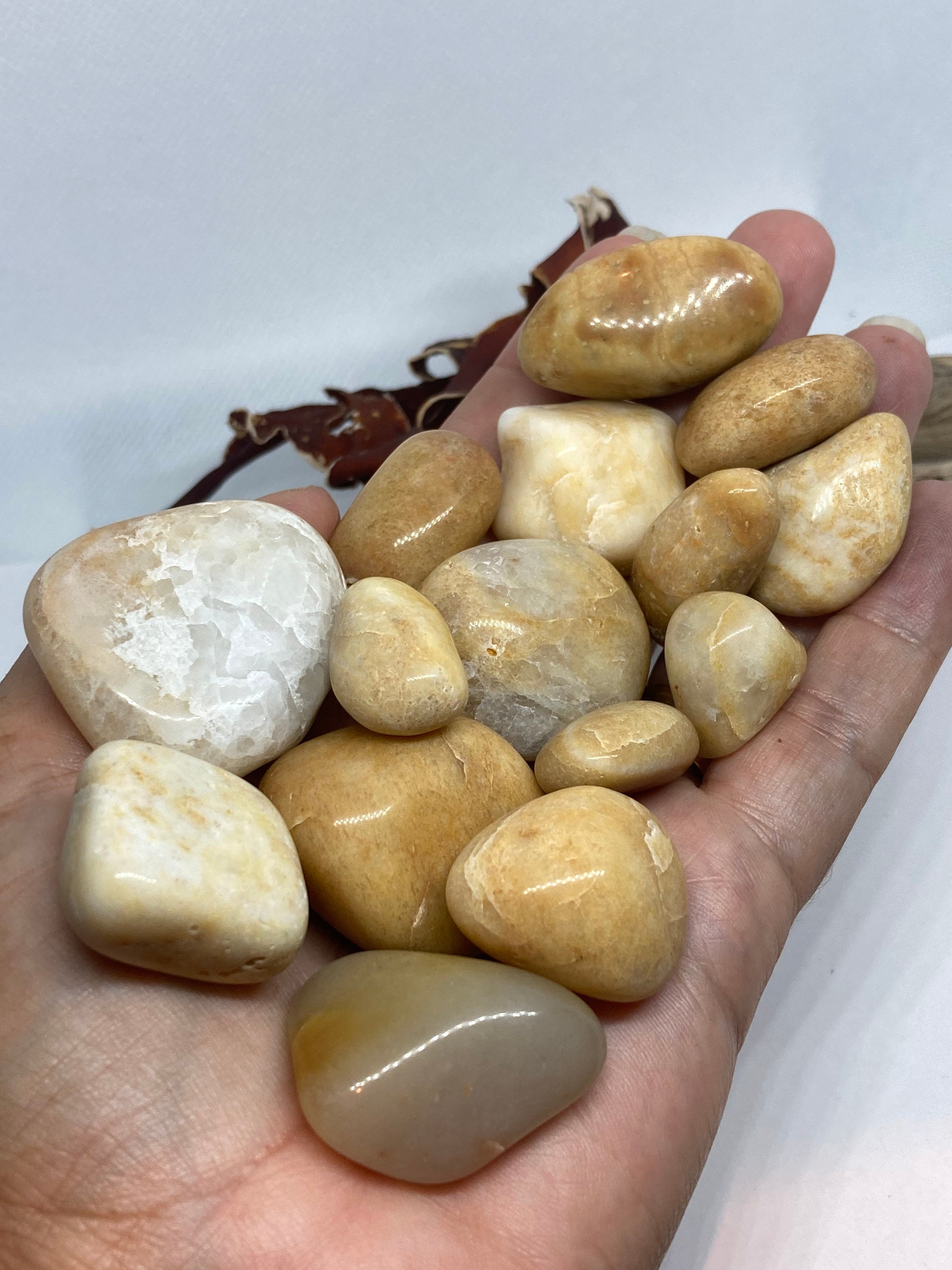 Floral & Garden Crafts Home & Hobby Polished Stones Beach finds Beach ...