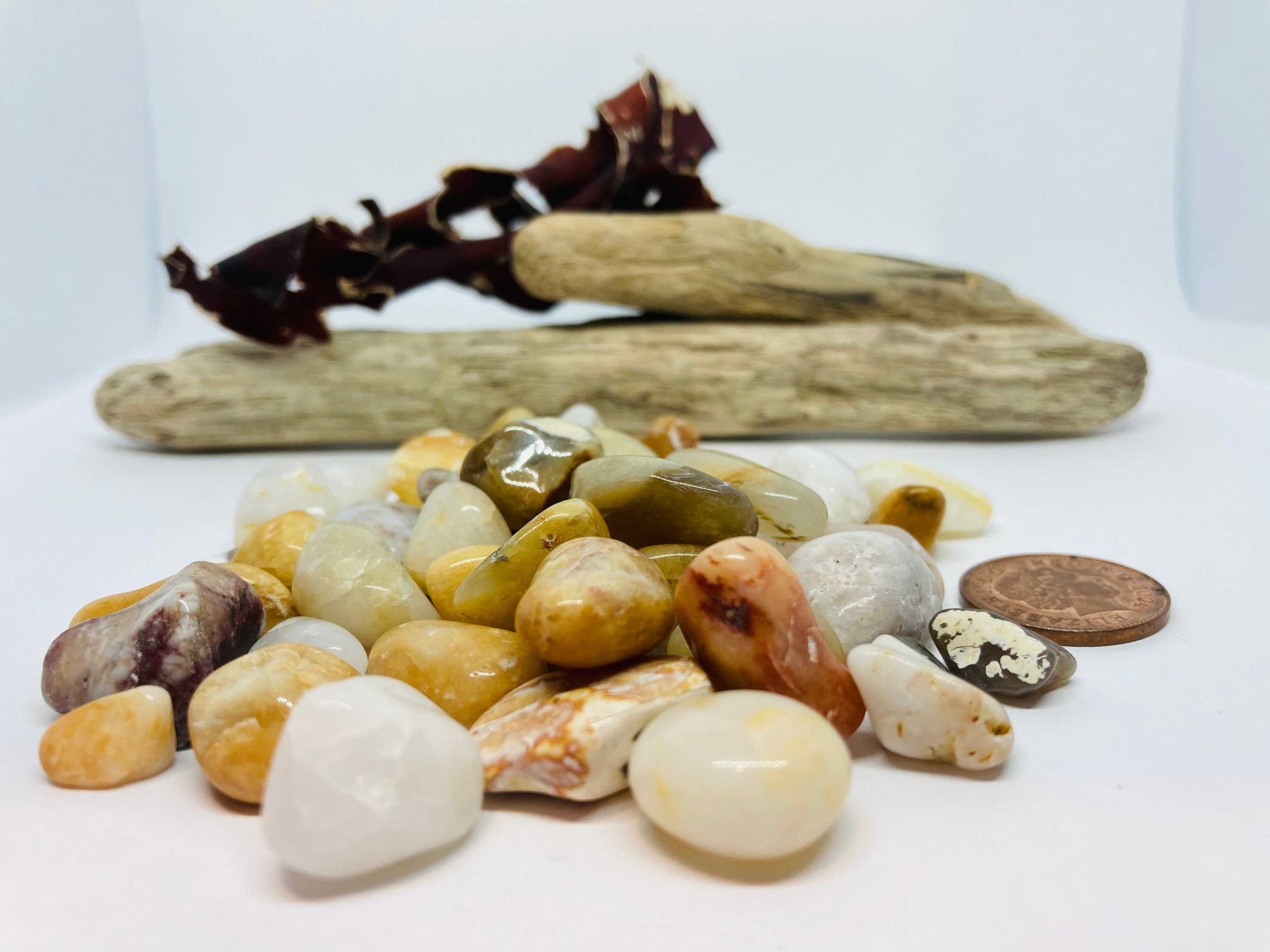 Floral & Garden Crafts Home & Hobby Polished Stones Beach finds Beach ...