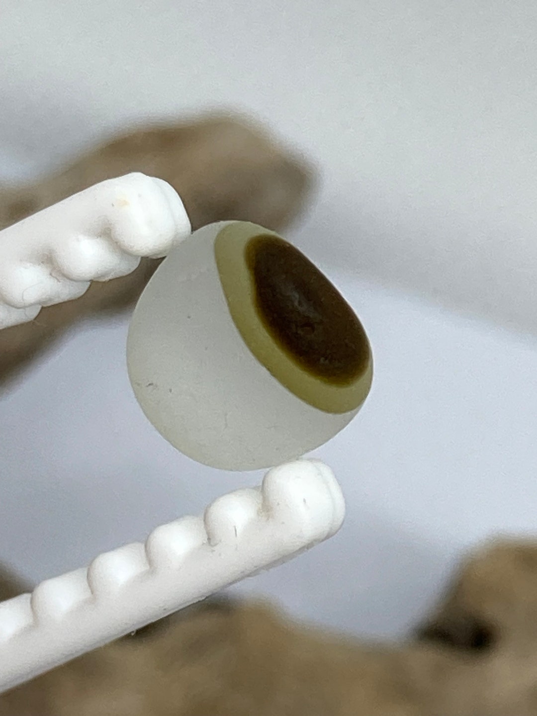 Multi Seaglass, Coloured Sea Glass, Multi Sea Glass, Seaham Seaglass ...