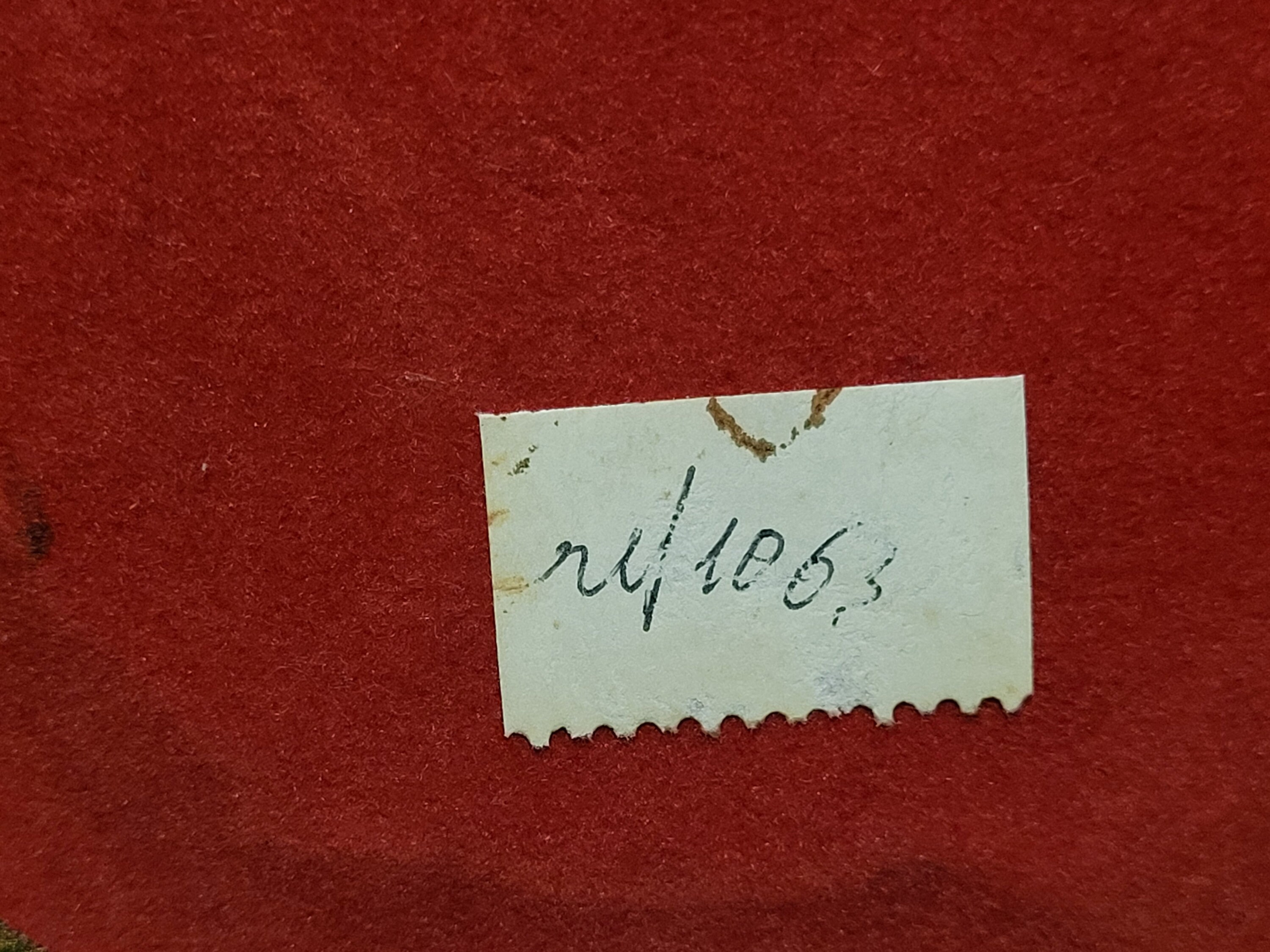 Vintage Renaissance Print in Oval Frame. - Etsy