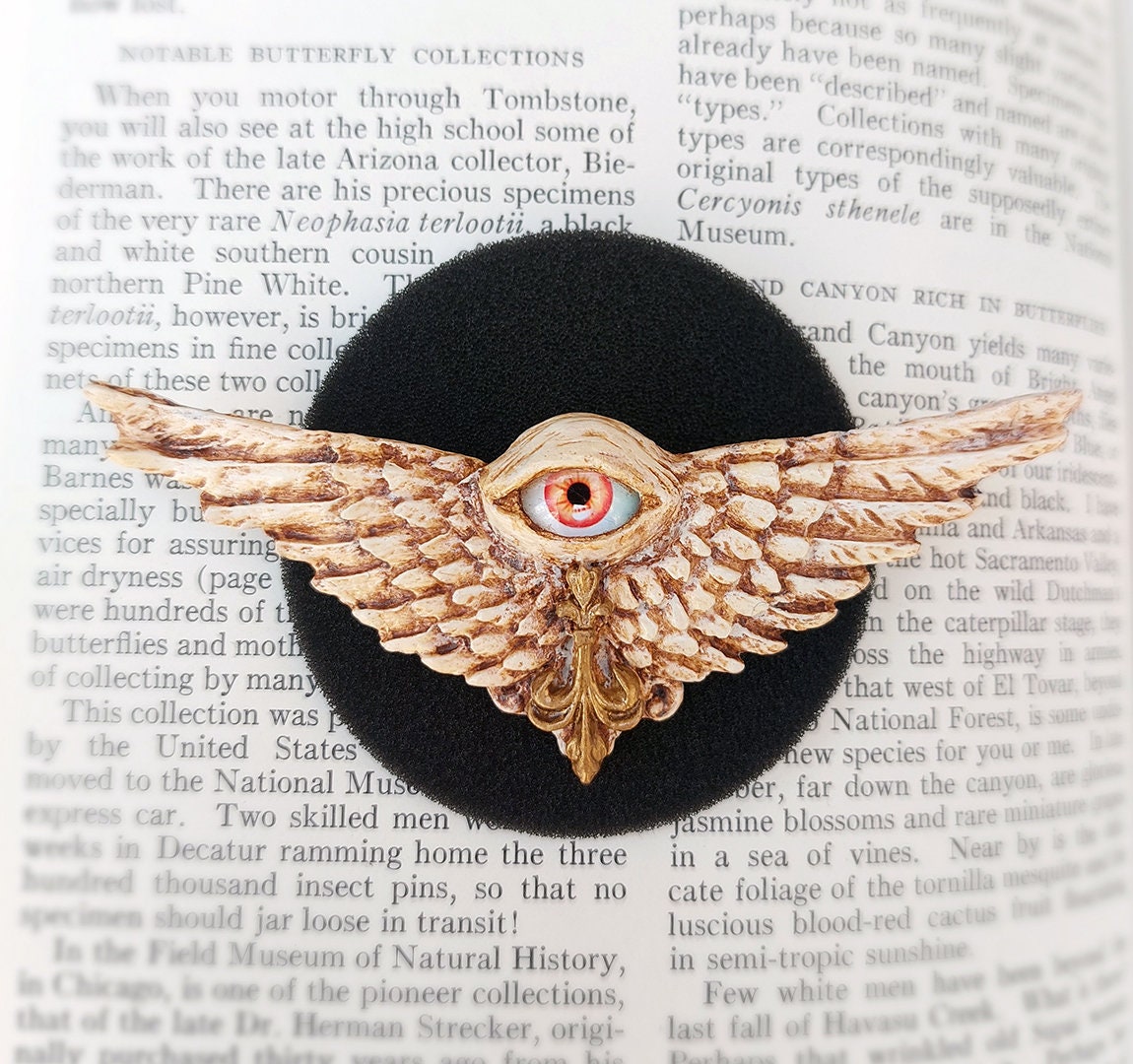 Winged Eye Brooch All Seeing Eye Lapel Pin Seraphim Horus Occult Art ...