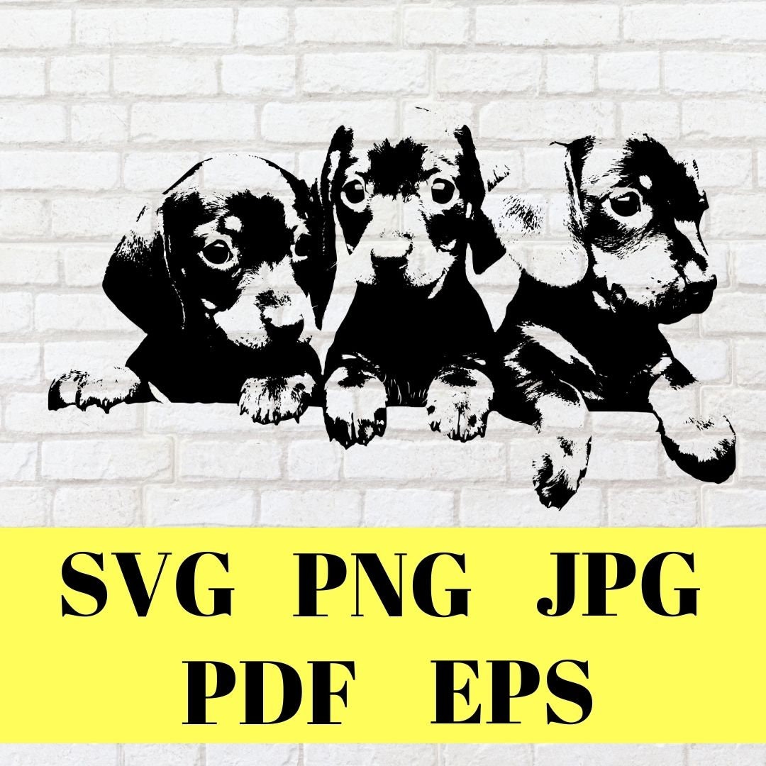 Three Dachshunds SVG, Digital File, Dachshund Clip Art Vector ...