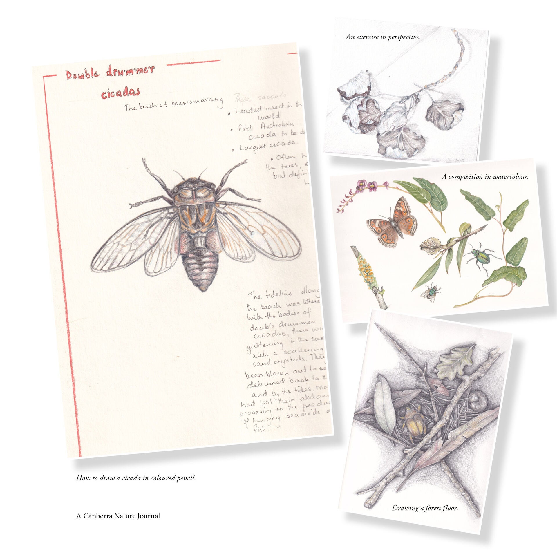 A Canberra Nature Journal - Etsy Australia