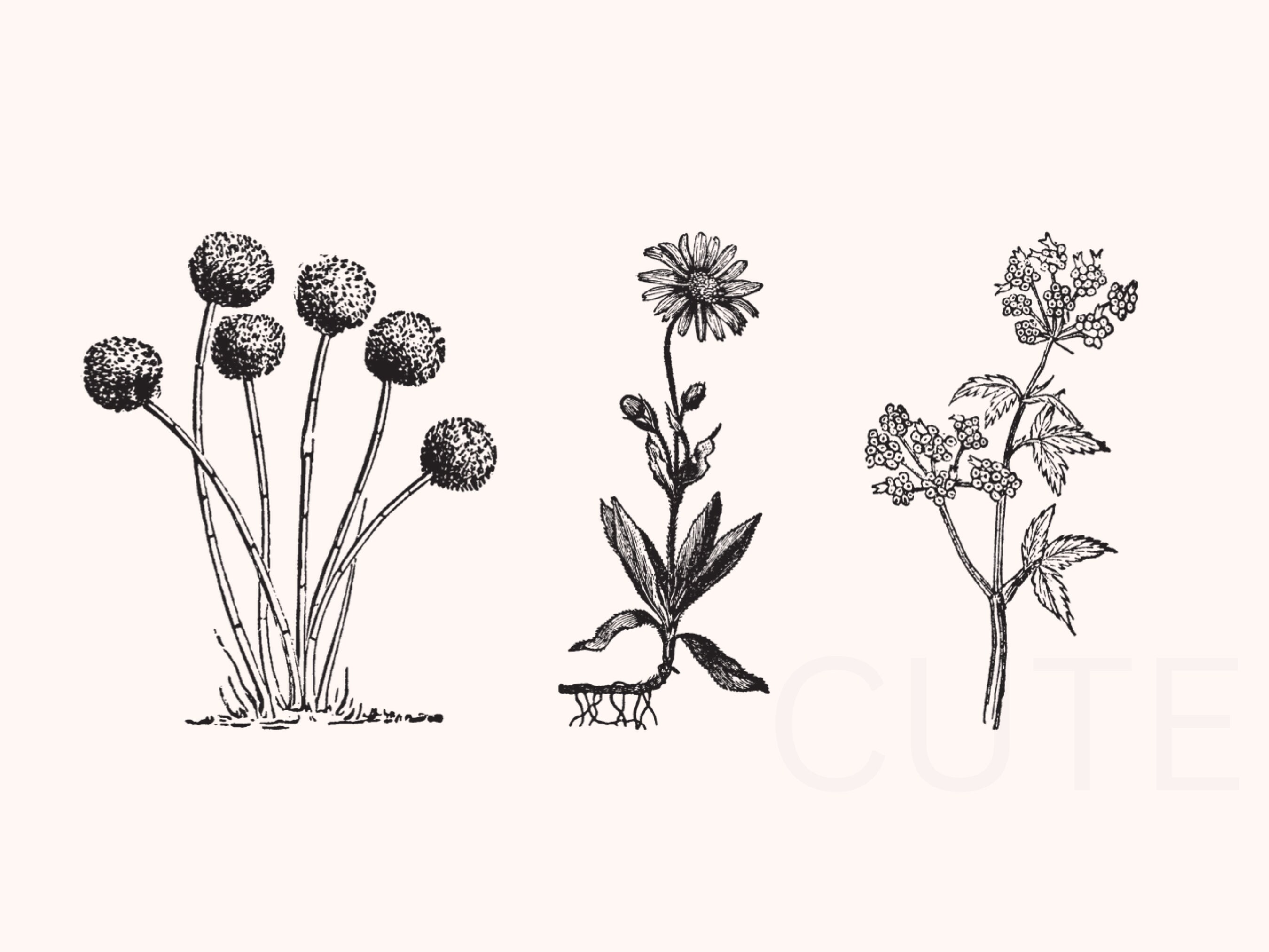 Cottagecore Png & Svg Files Trendy Svg Aesthetic Svg - Etsy Ireland