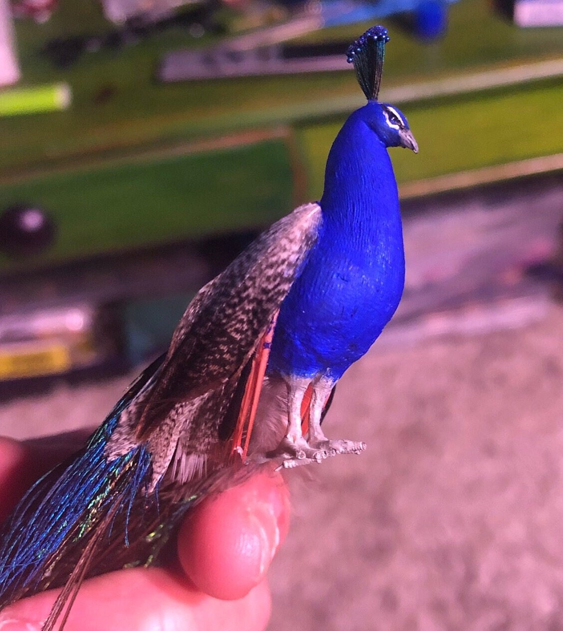 1/12 Scale Miniature Peacock by Mike Barbour - Etsy