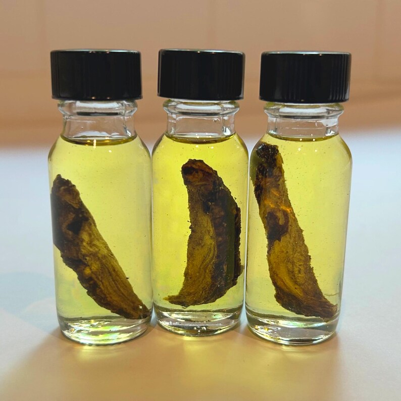 High John the Conqueror Root Oil | Power, Luck, Mastery (hoodoo, Wicca ...
