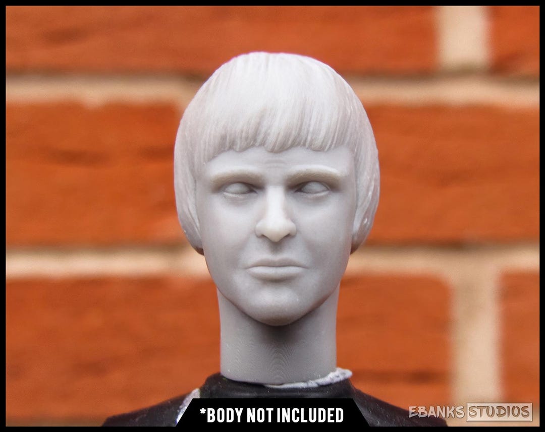 Hamish Wilson 1/13 Scale Head 3D Printed - Etsy