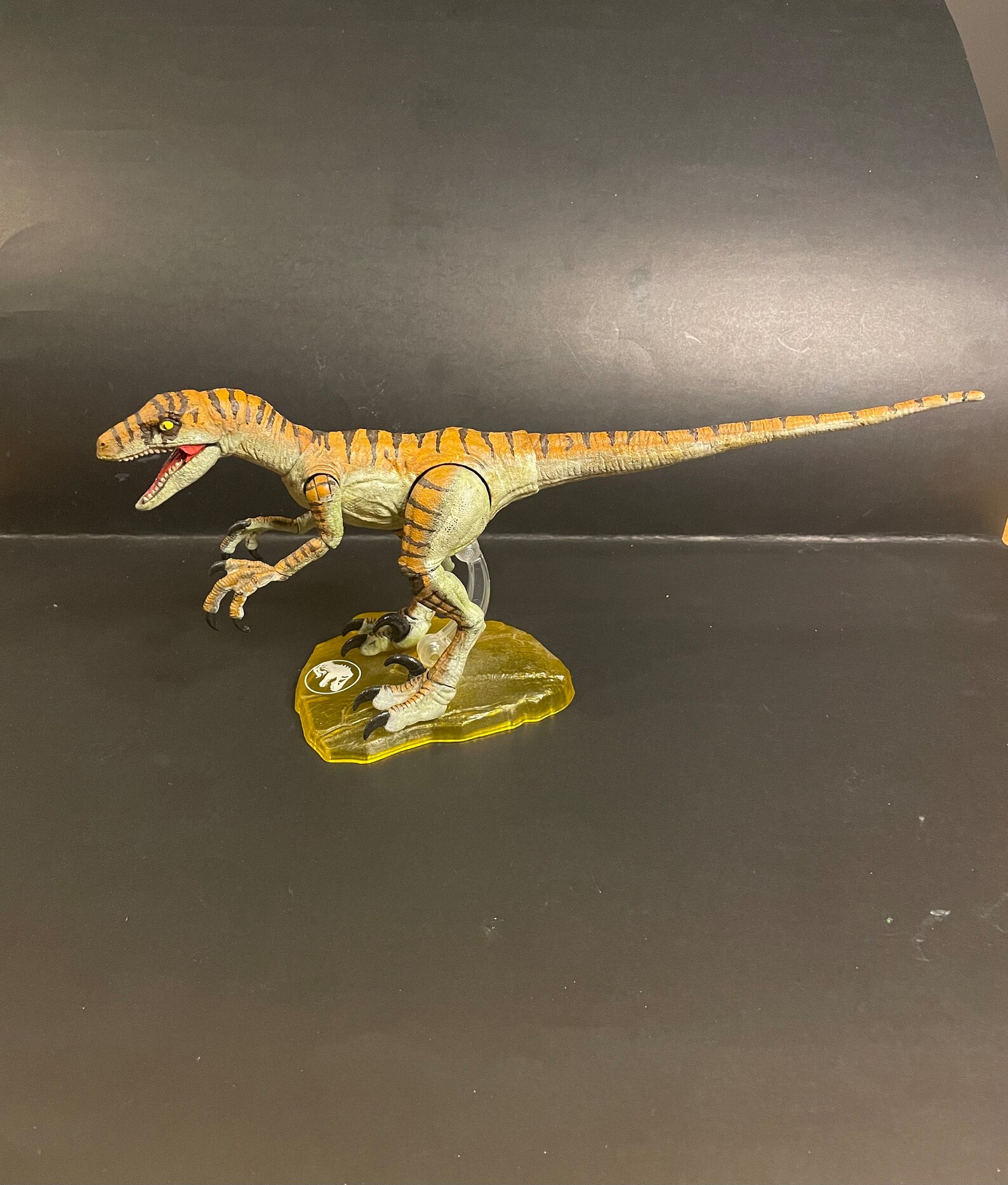 Amber Collection Repaint JP TLW Male Tiger Stripe Velociraptor - Etsy