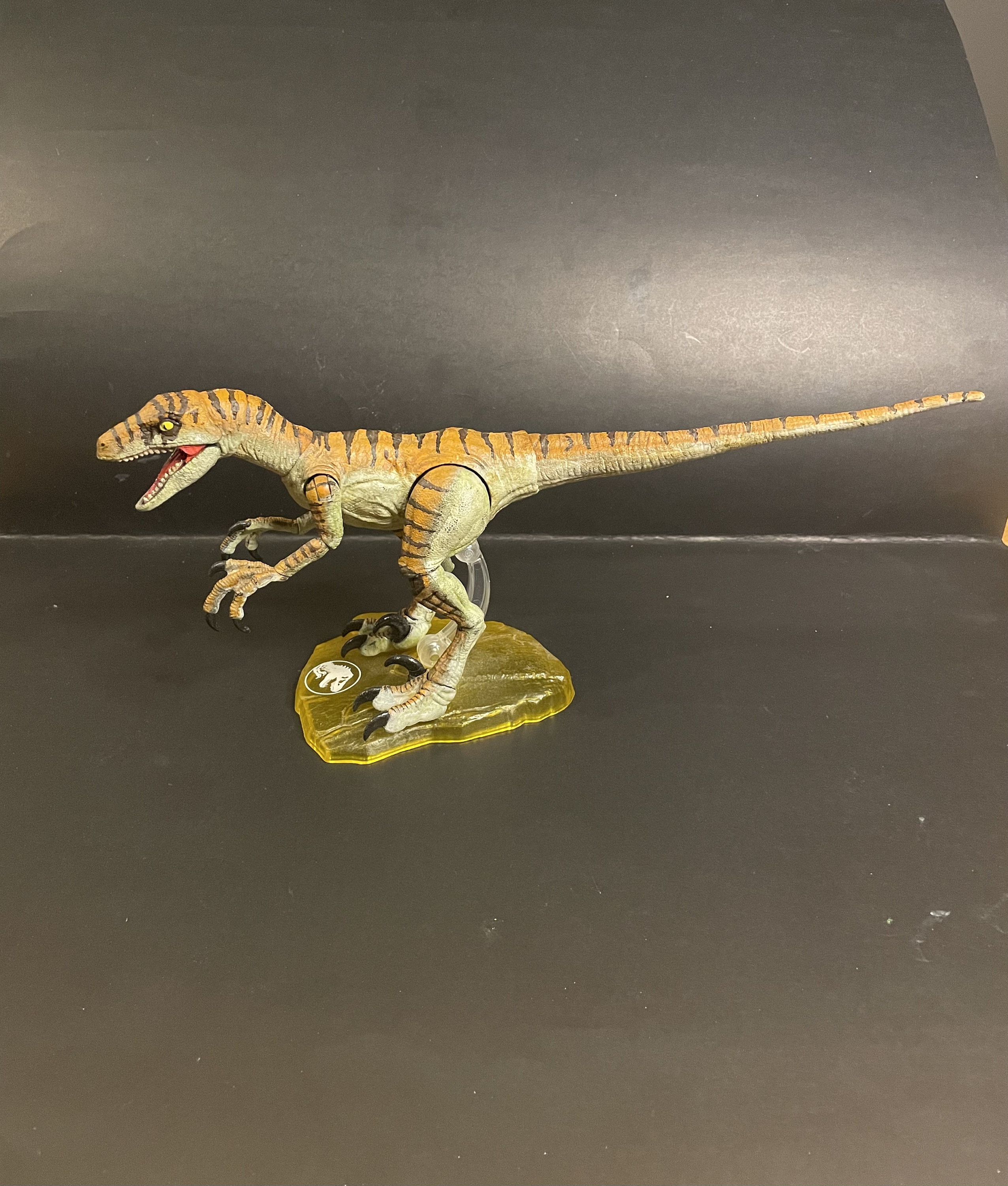 Amber Collection Repaint JP TLW Male Tiger Stripe Velociraptor - Etsy