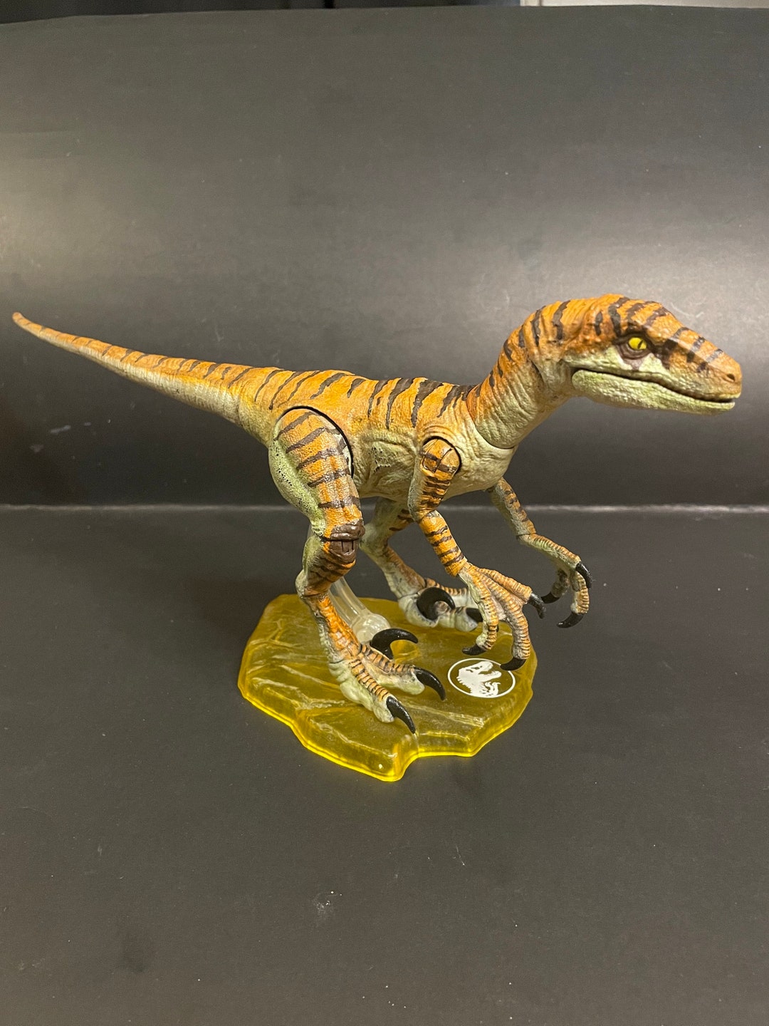 Amber Collection Repaint JP TLW Male Tiger Stripe Velociraptor - Etsy