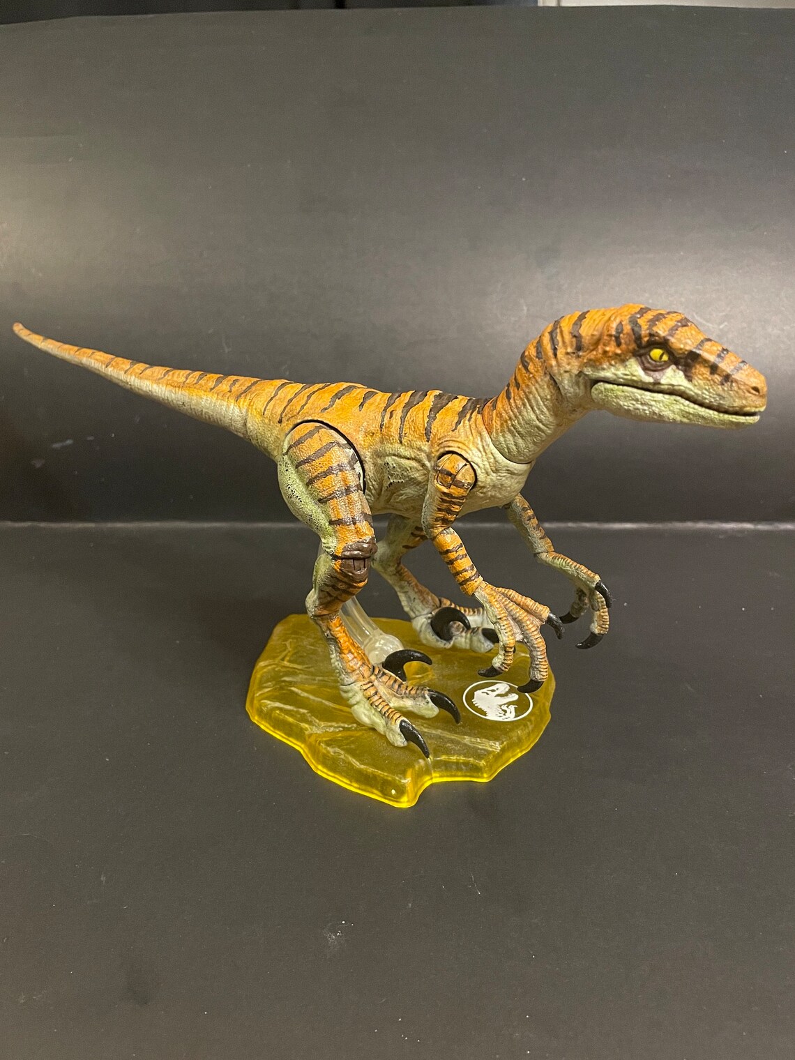 Amber Collection Repaint JP TLW Male Tiger Stripe Velociraptor - Etsy