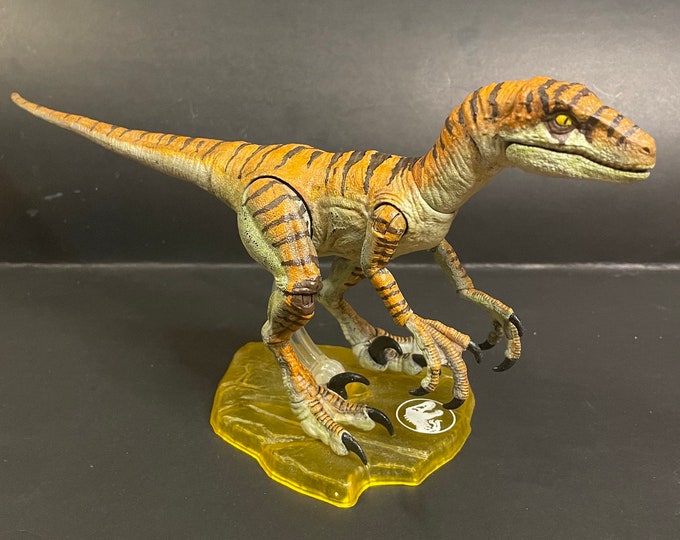 Amber Collection Repaint JP TLW Male Tiger Stripe Velociraptor - Etsy
