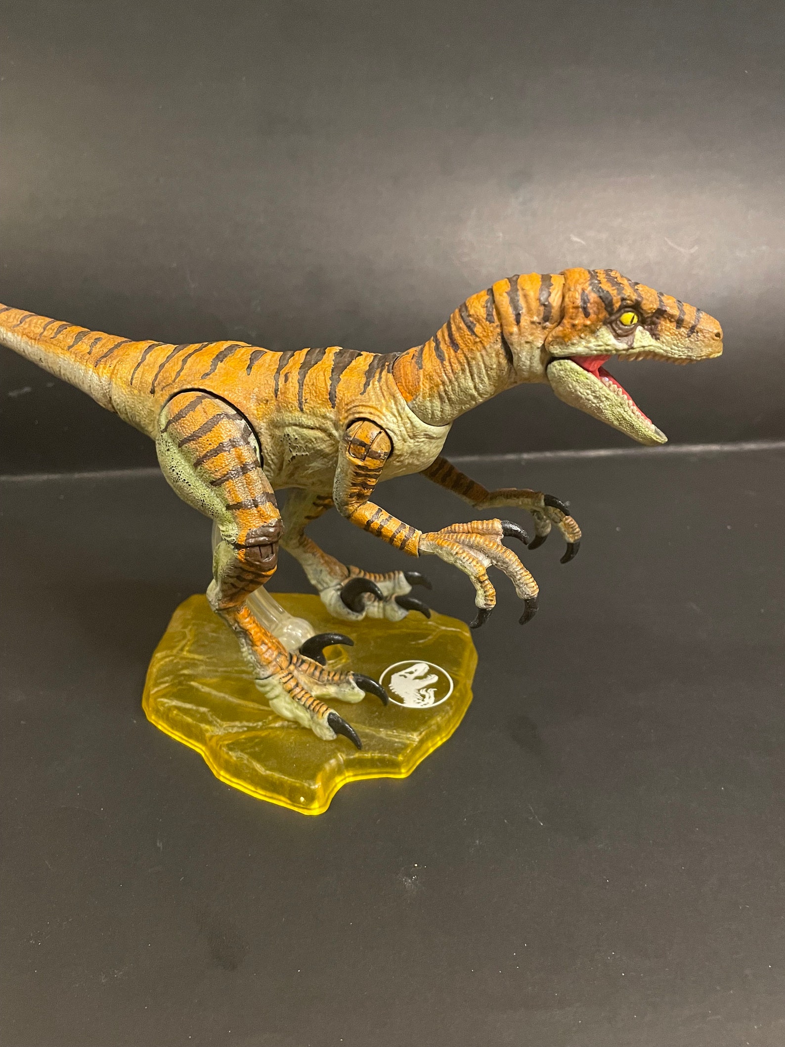 Amber Collection Repaint JP TLW Male Tiger Stripe Velociraptor - Etsy