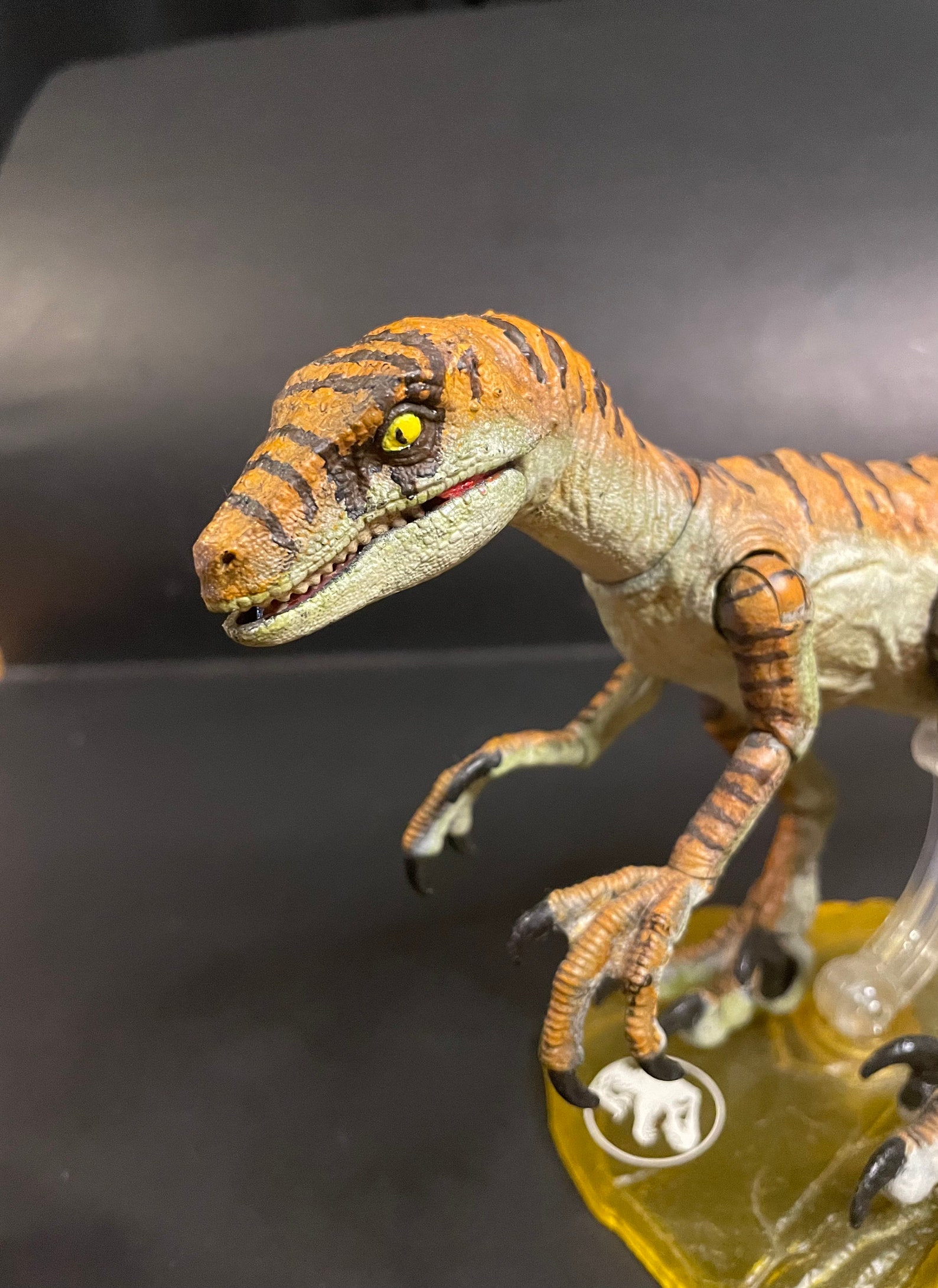 Amber Collection Repaint JP TLW Male Tiger Stripe Velociraptor - Etsy