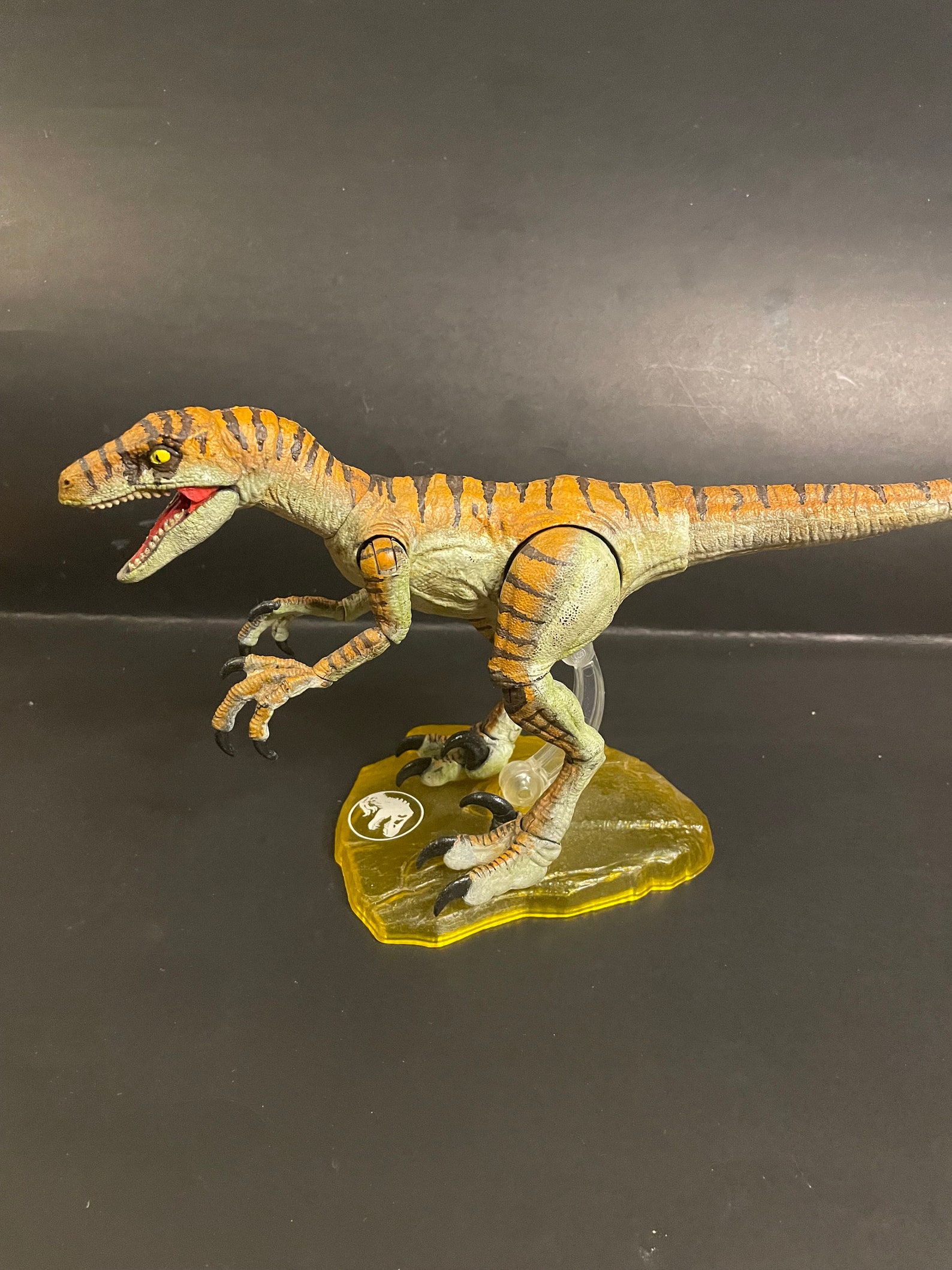 Amber Collection Repaint JP TLW Male Tiger Stripe Velociraptor - Etsy