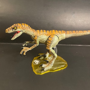 Amber Collection Repaint JP TLW Male Tiger Stripe Velociraptor - Etsy
