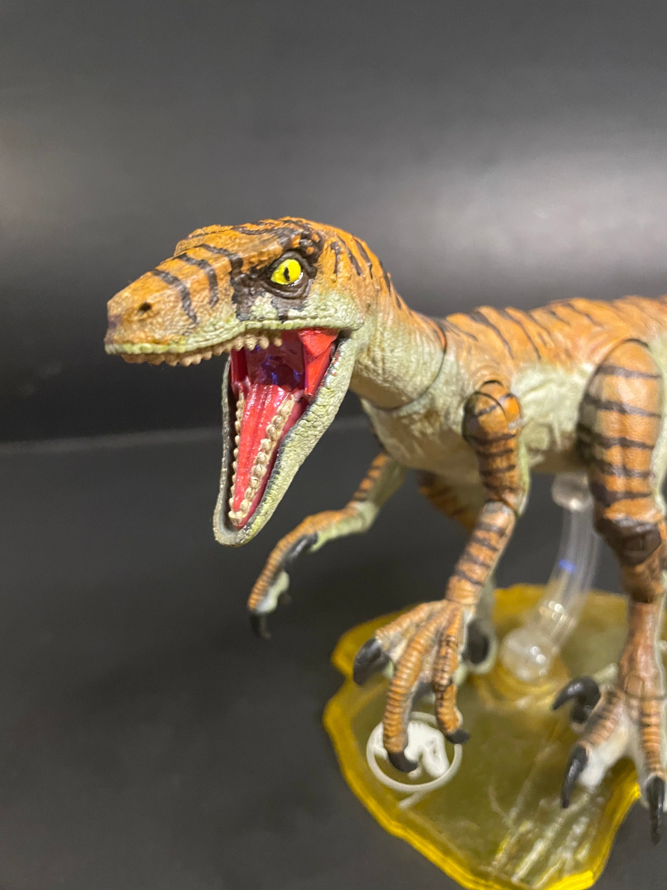 Amber Collection Repaint JP TLW Male Tiger Stripe Velociraptor - Etsy