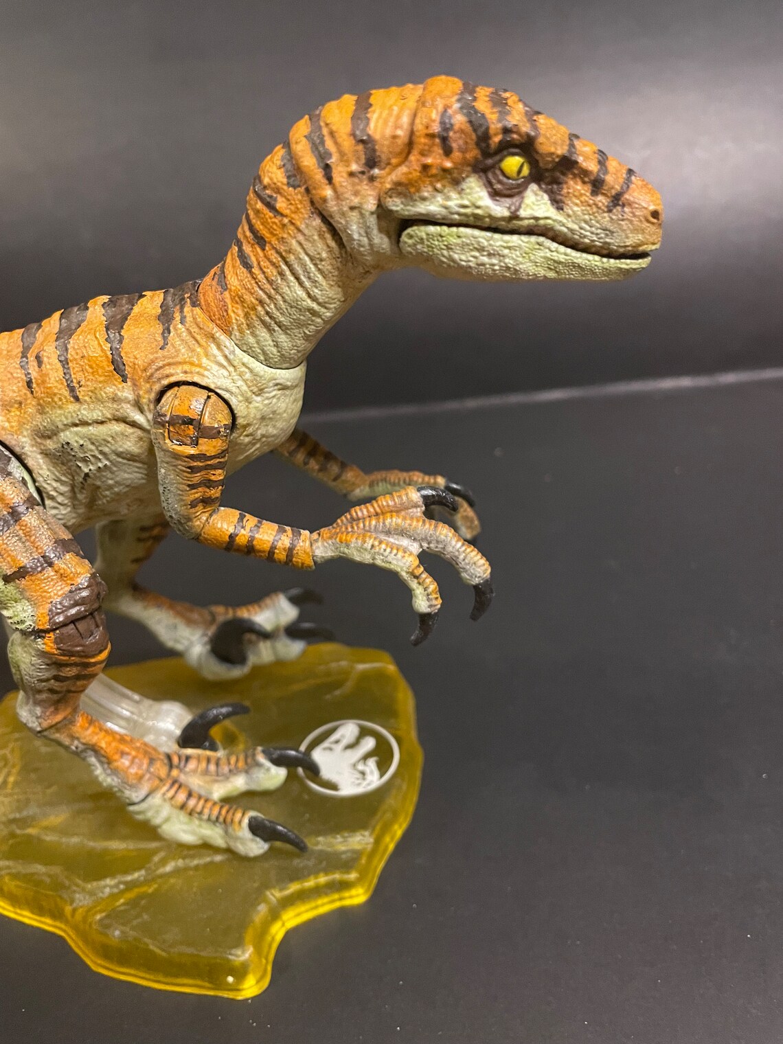 Amber Collection Repaint JP TLW Male Tiger Stripe Velociraptor - Etsy