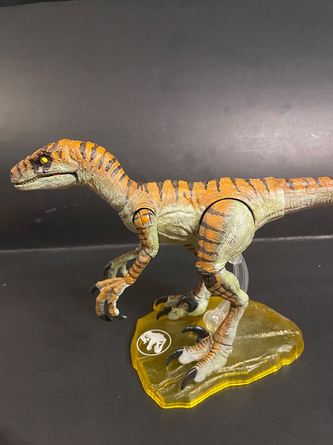 Amber Collection Repaint JP TLW Male Tiger Stripe Velociraptor - Etsy