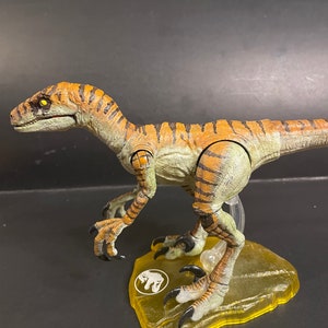 Amber Collection Repaint JP TLW Male Tiger Stripe Velociraptor - Etsy