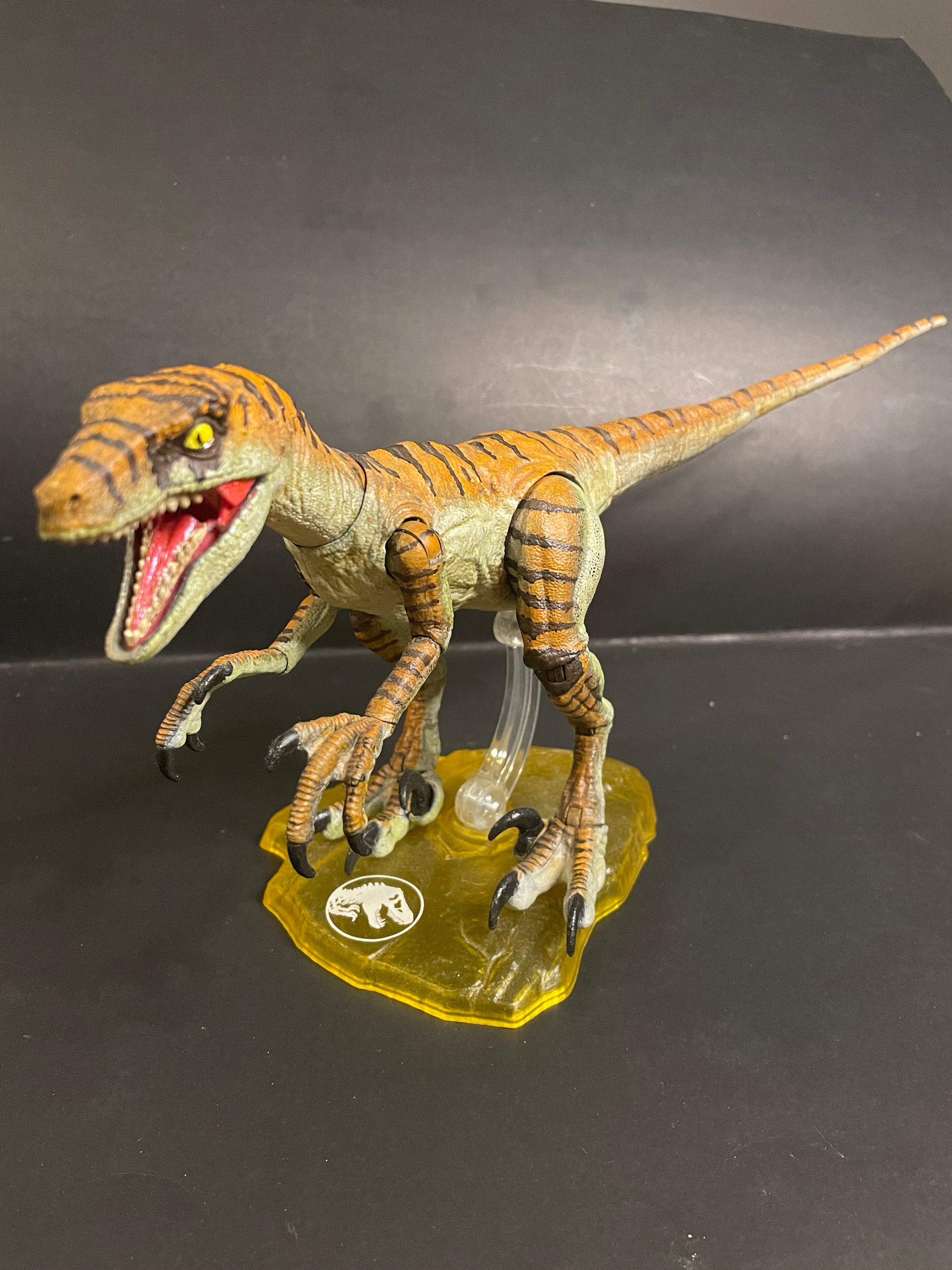 Amber Collection Repaint JP TLW Male Tiger Stripe Velociraptor - Etsy