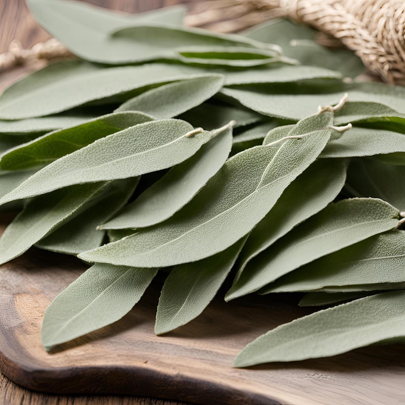 Fresh Organic Sage Sachets - Etsy