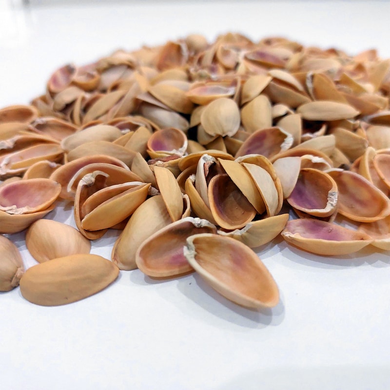 Pistachio Shells - Etsy