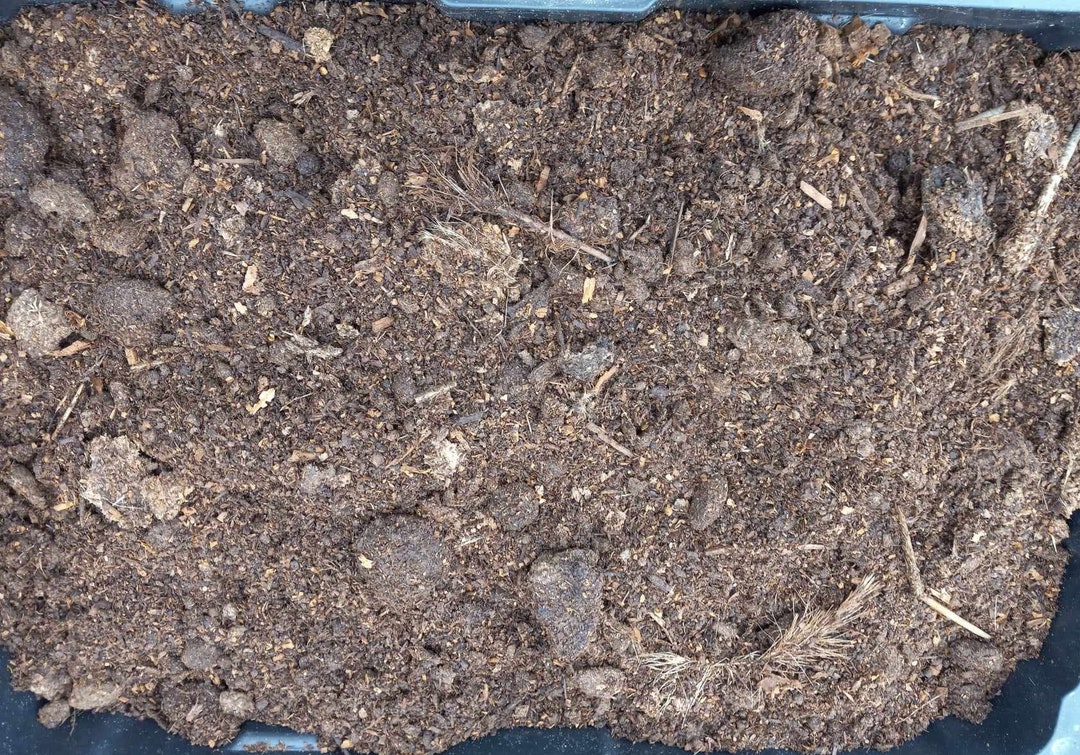 Turkey Manure Organic, Pure , and Unaltered! - Etsy