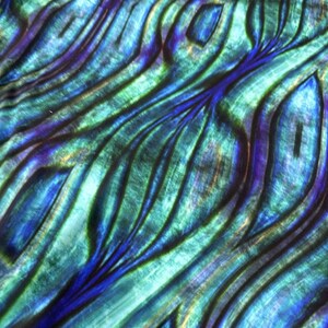 Wave Pattern Fabric - Blue Green Textiles - Etsy