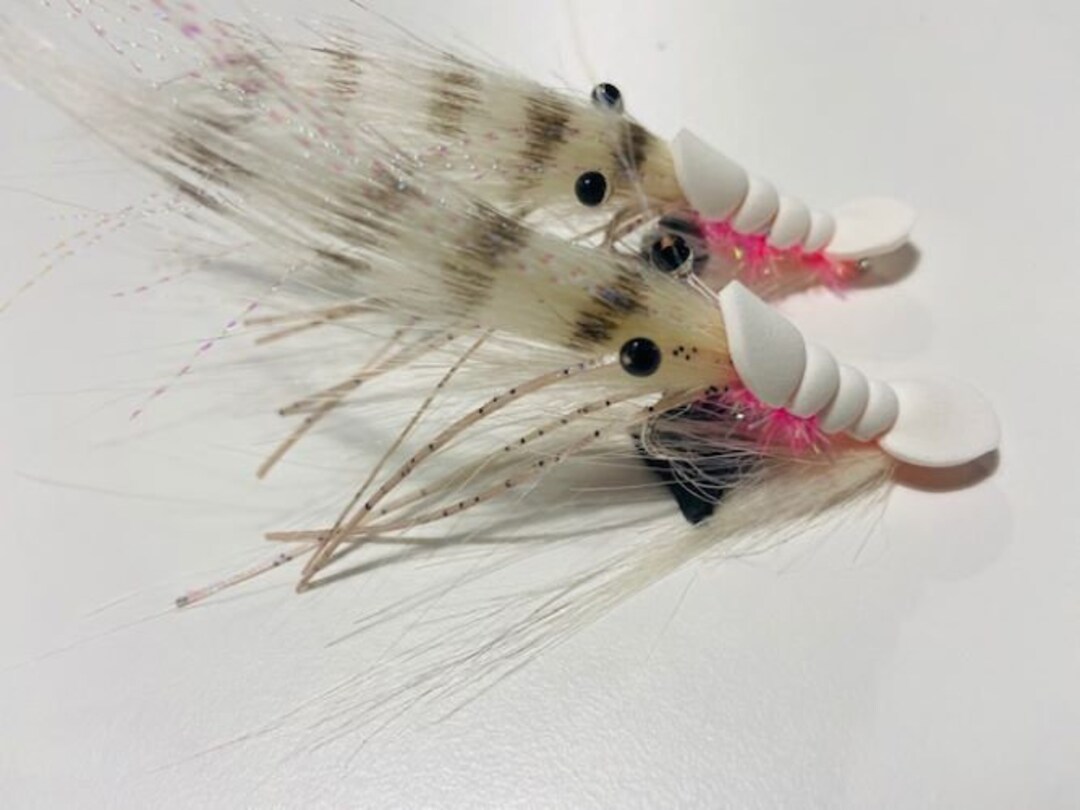 Poppin' Shrimp Fly 6 per Order Fly Fishing & Fly Tying - Etsy