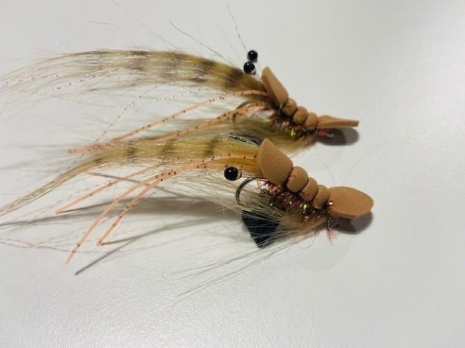 Poppin' Shrimp Fly 6 per Order Fly Fishing & Fly Tying - Etsy