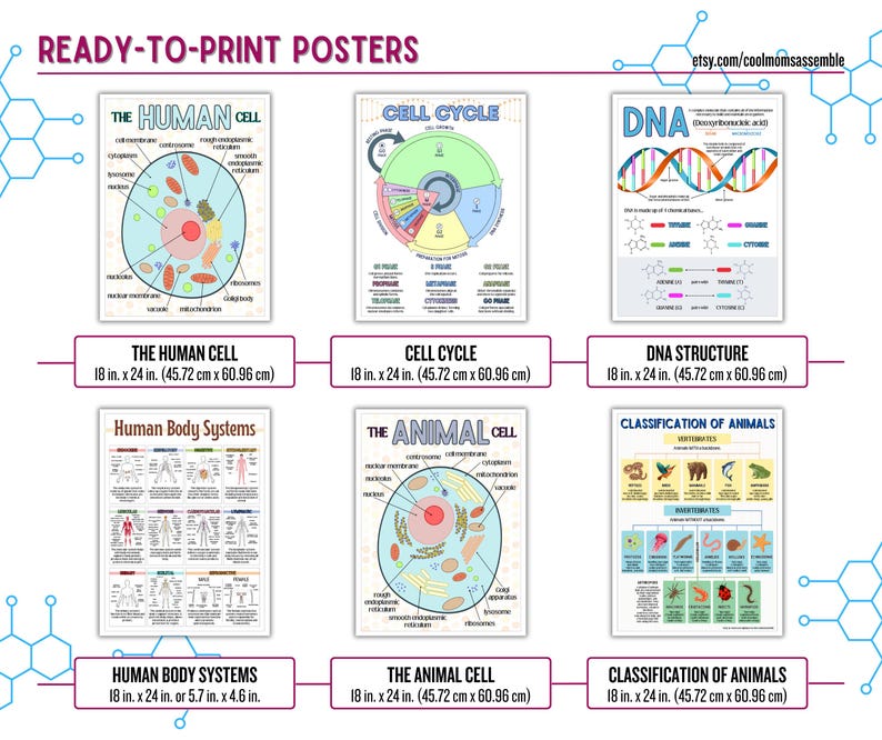 Science Posters Classroom Decor Bundle- Biology- Astronomy- Outer Space ...