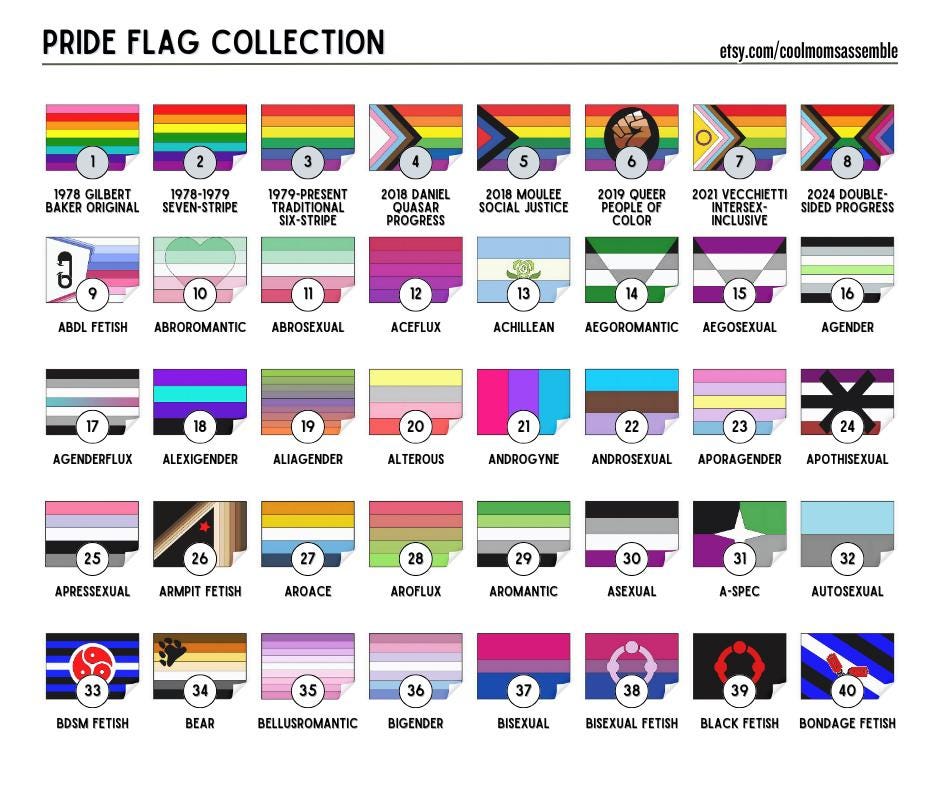 LGBTQ+ Pride Flag Collection- Digital Download- SVG Cut Files- Pride ...