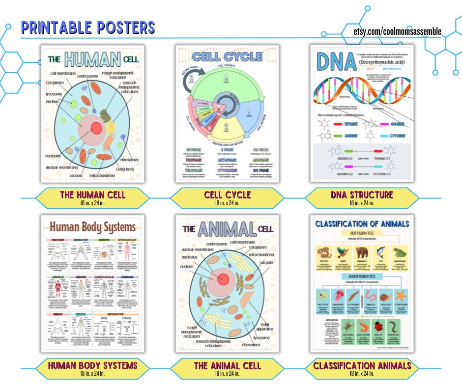 Science Poster Classroom Decor Bundle Science Posters Biology Astronomy ...