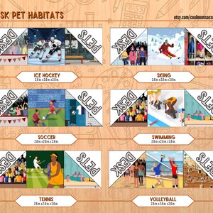 The Sports Edition Desk Pet Habitat Kit- Desk Pet Habitats- Popular ...