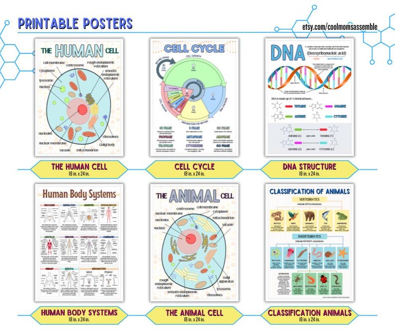 Science Poster Classroom Decor Bundle- Science Posters- Biology ...