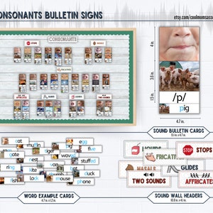 Sound Wall Classroom Decor Kit- Early Elementary- Sound Flash Cards ...