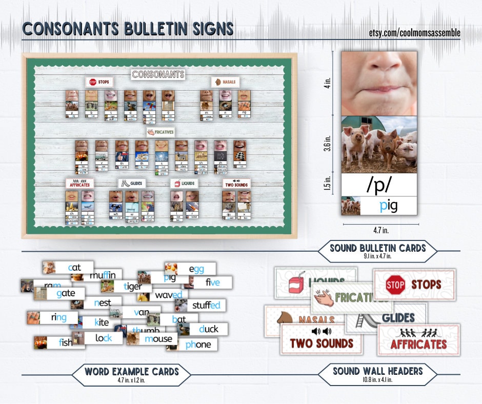 Sound Wall Classroom Decor Kit- Early Elementary- Sound Flash Cards ...