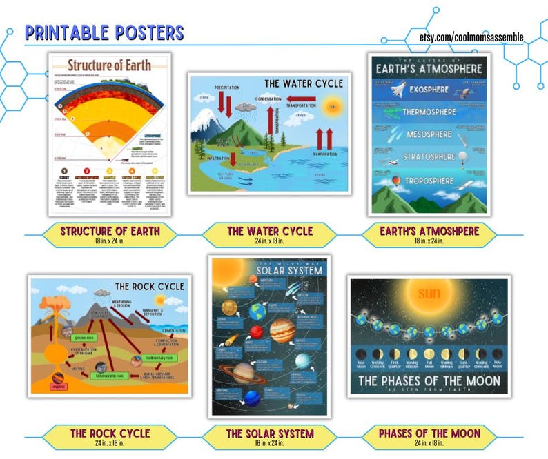 Science Poster Classroom Decor Bundle- Science Posters- Biology ...