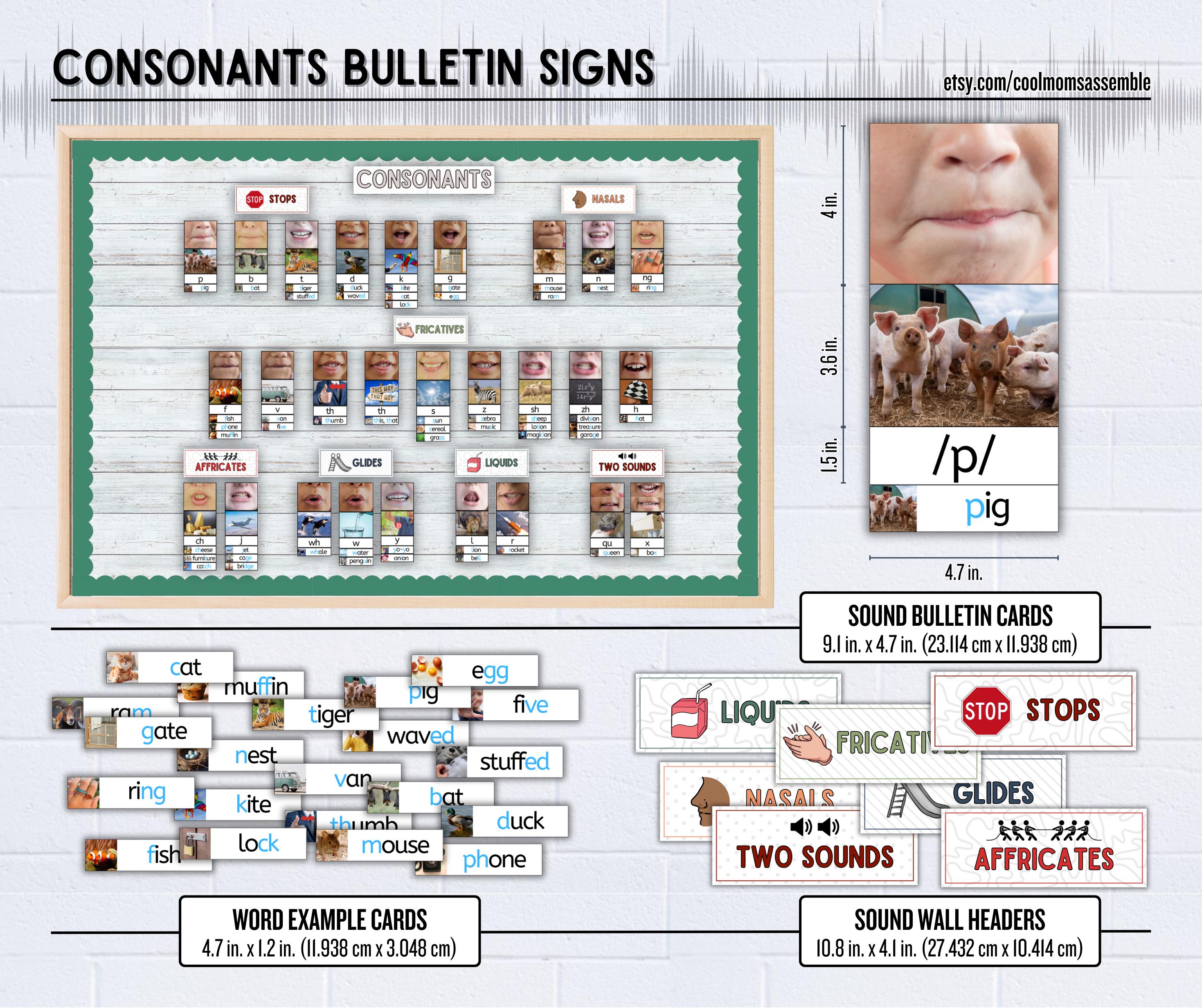 Sound Wall Classroom Decor Kit- Early Elementary- Sound Flash Cards ...