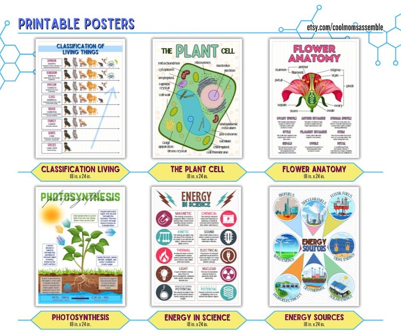 Science Poster Classroom Decor Bundle- Science Posters- Biology ...