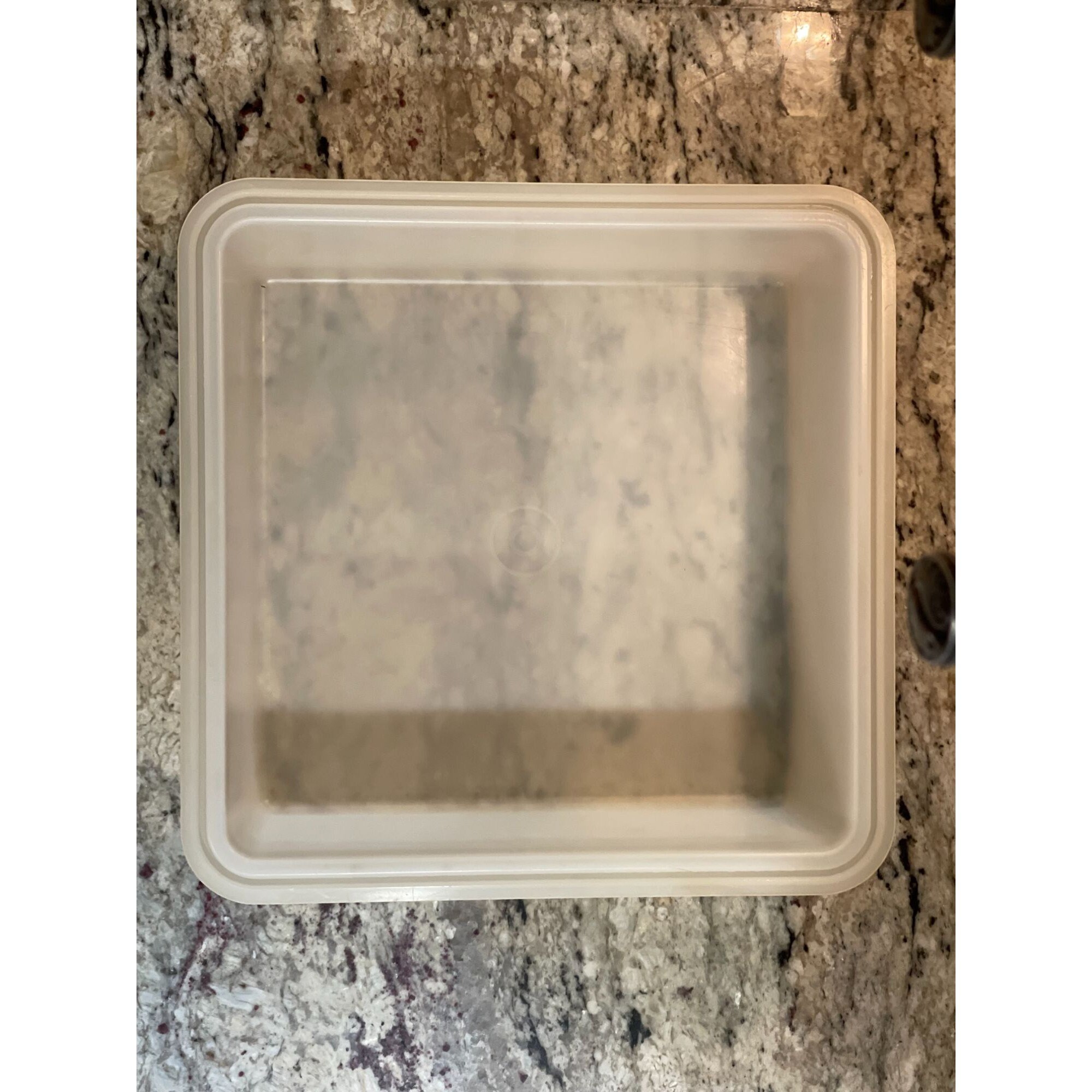 Tupperware Square Cake Saver Taker 1241 - Etsy