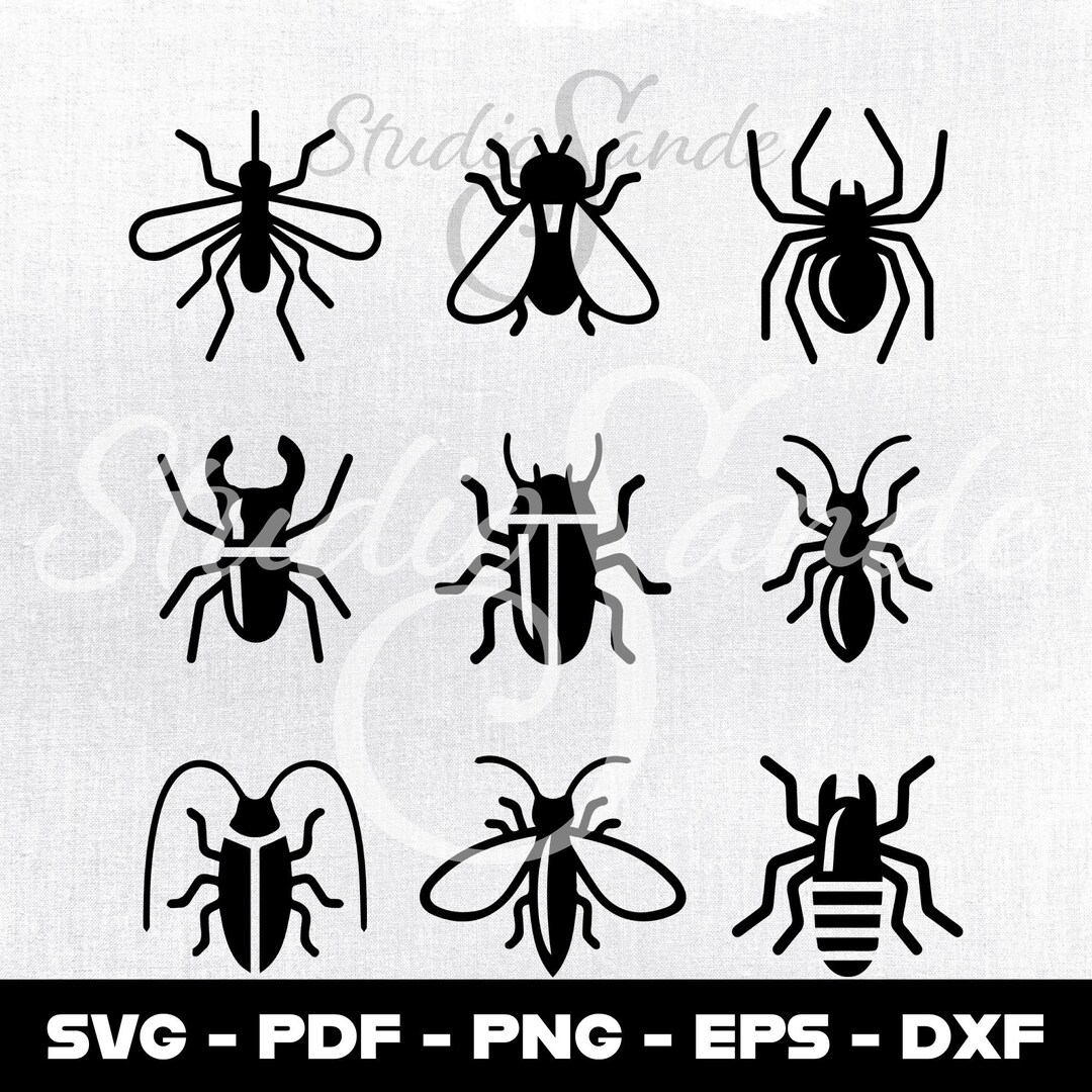 INSECT SVG Digital Download, Insect DXF, Insect Png, Bugs Svg, Bugs Dxf ...