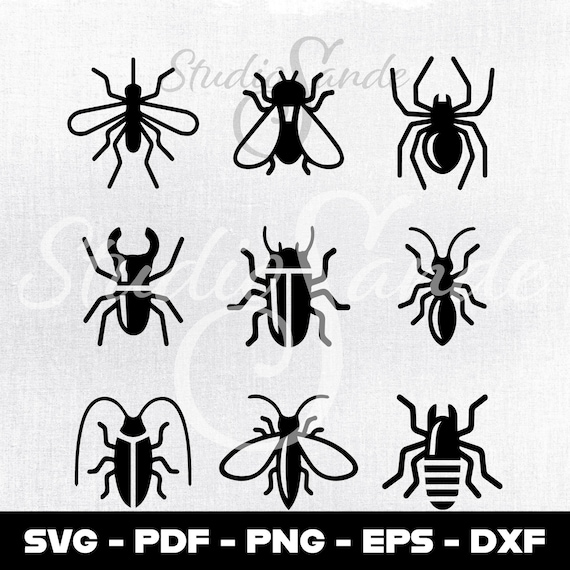 INSECT SVG Digital Download Insect DXF Insect Png Bugs Svg - Etsy