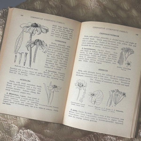 Vintage Flower Book - Etsy